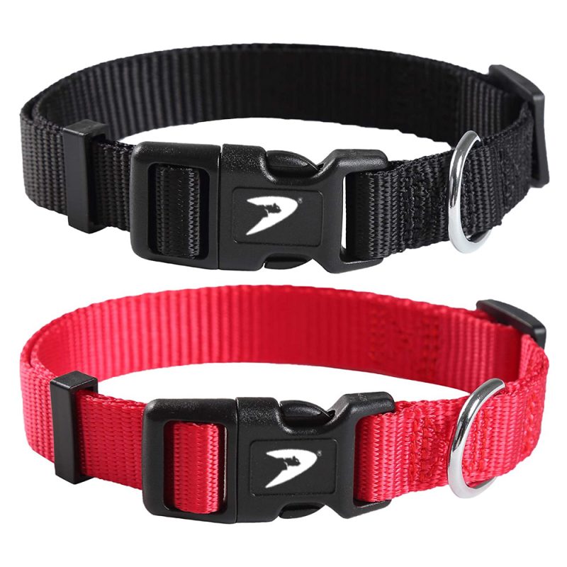 Basic Nylon Dog Collar – Blackrunner