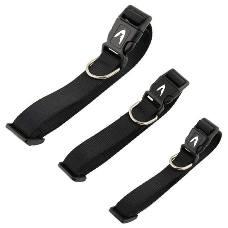 Basic Nylon Dog Collar – Blackrunner