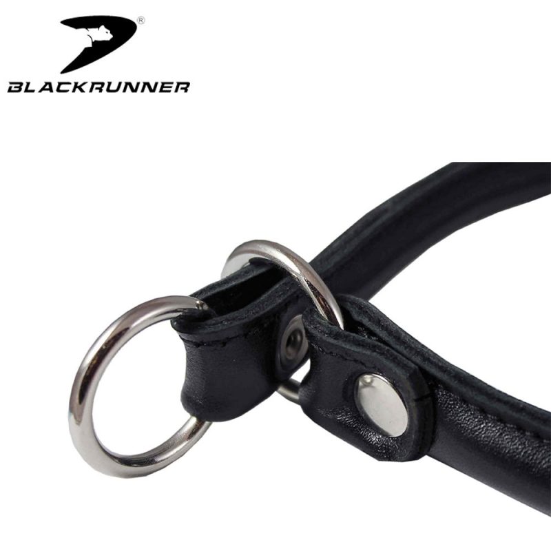 Classic Dominant Dog Collar – Blackrunner