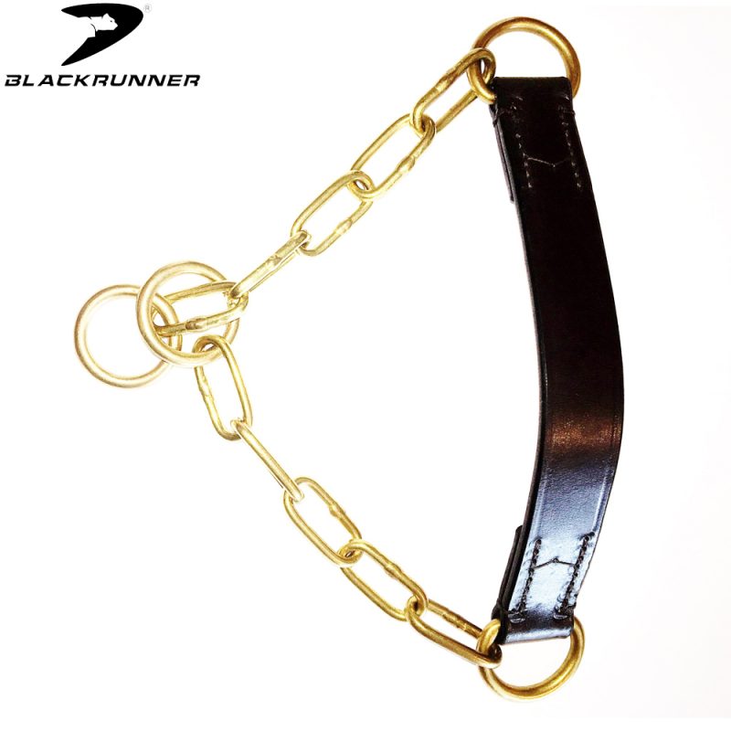 Sportive Show Dog Collar – Blackrunner